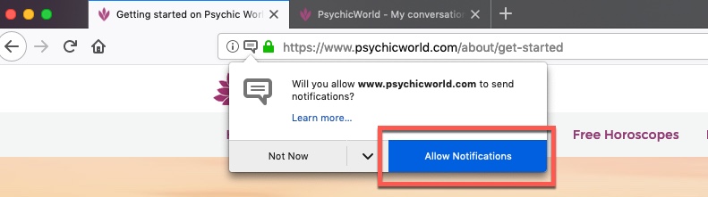 Getting started on PsychicWorld